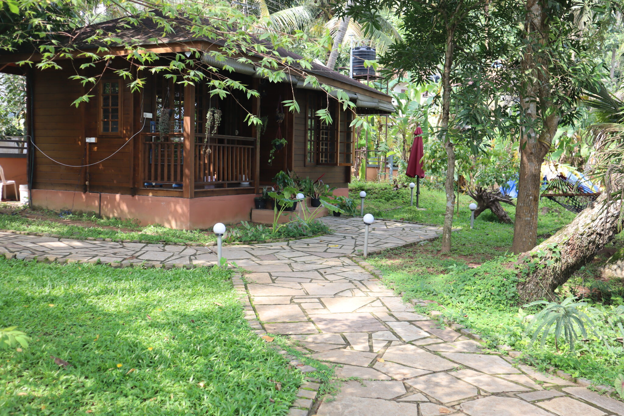 Gallery | GREEN CHROMIDE